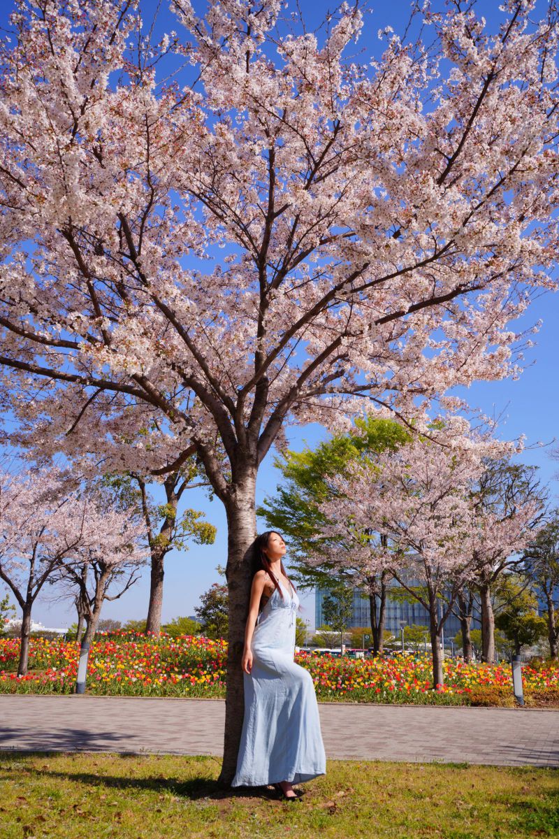 Sakura Photography | GANREF