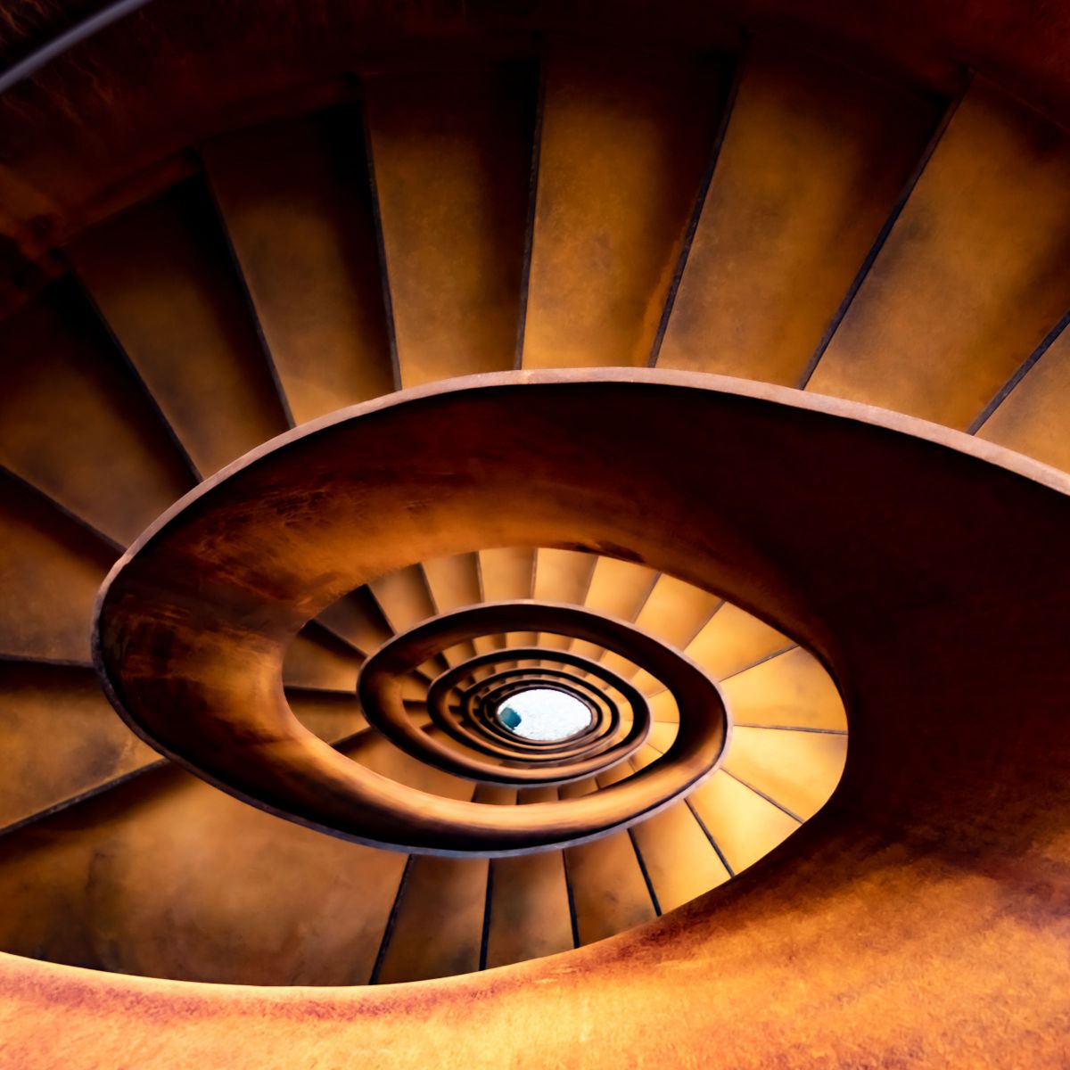 new spiral.F。 | GANREF