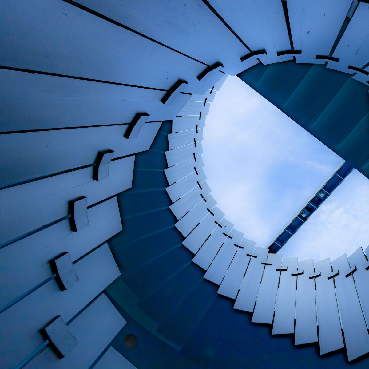 spiral plate。 | GANREF