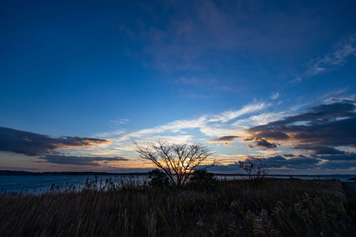 Daybreak。 | GANREF