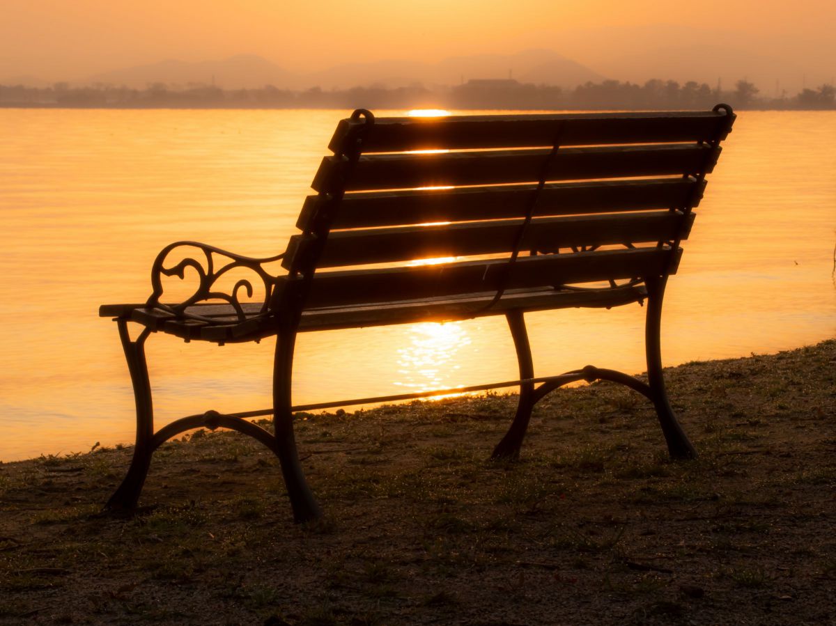 The Bench。 | GANREF