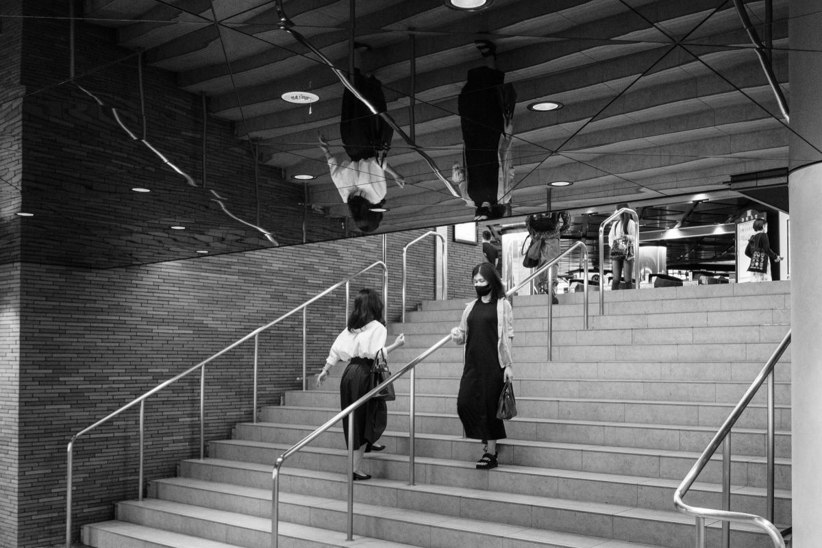 up and down | GANREF