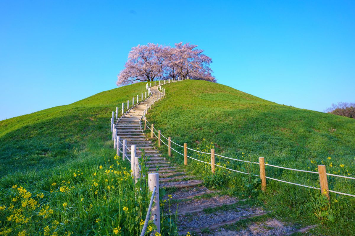 on the hill | GANREF