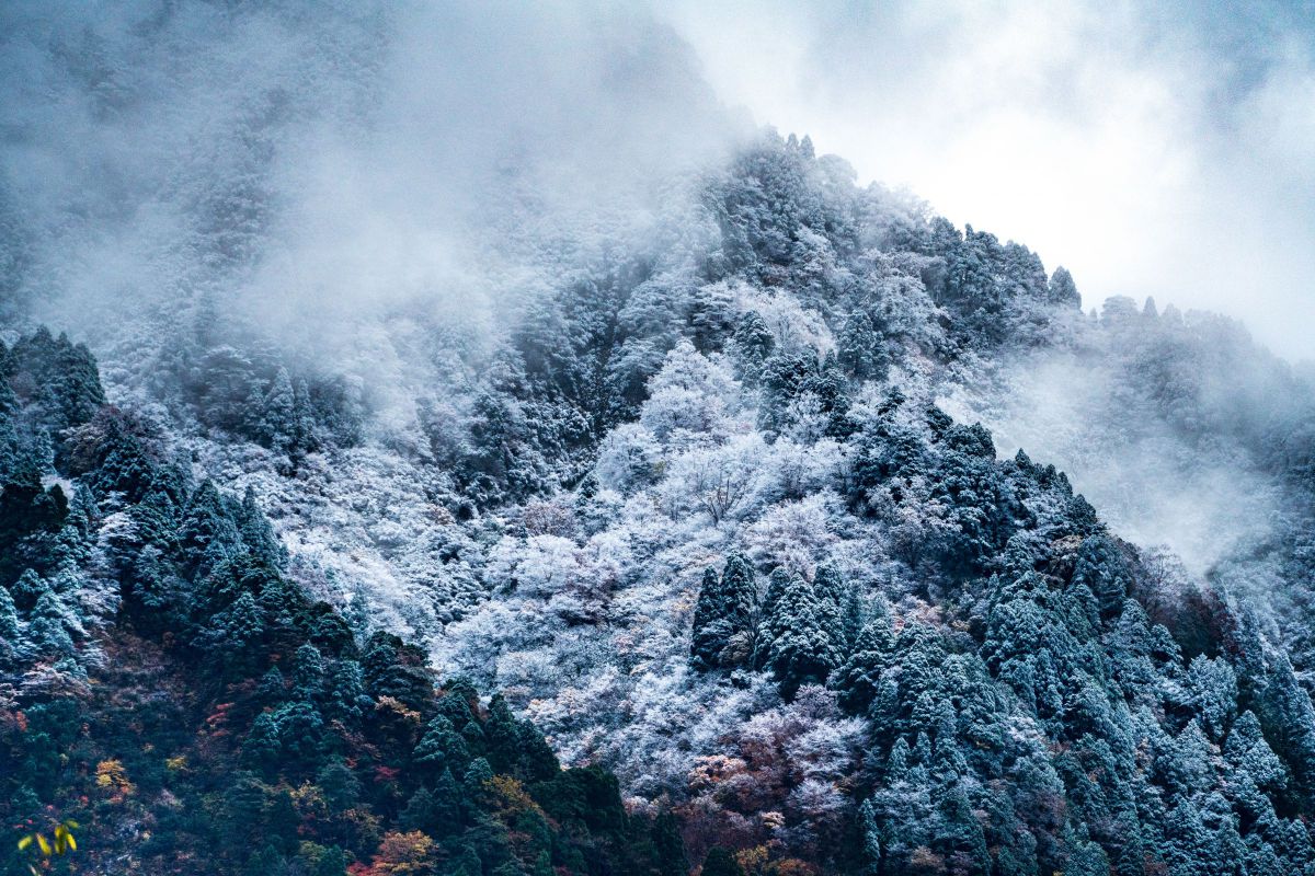 氷点下の空 | GANREF