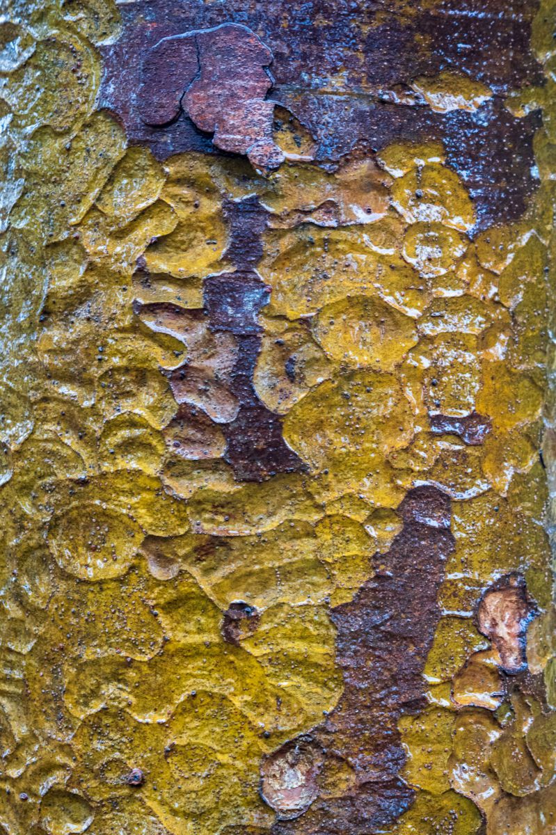 秋霖ラミネート | GANREF