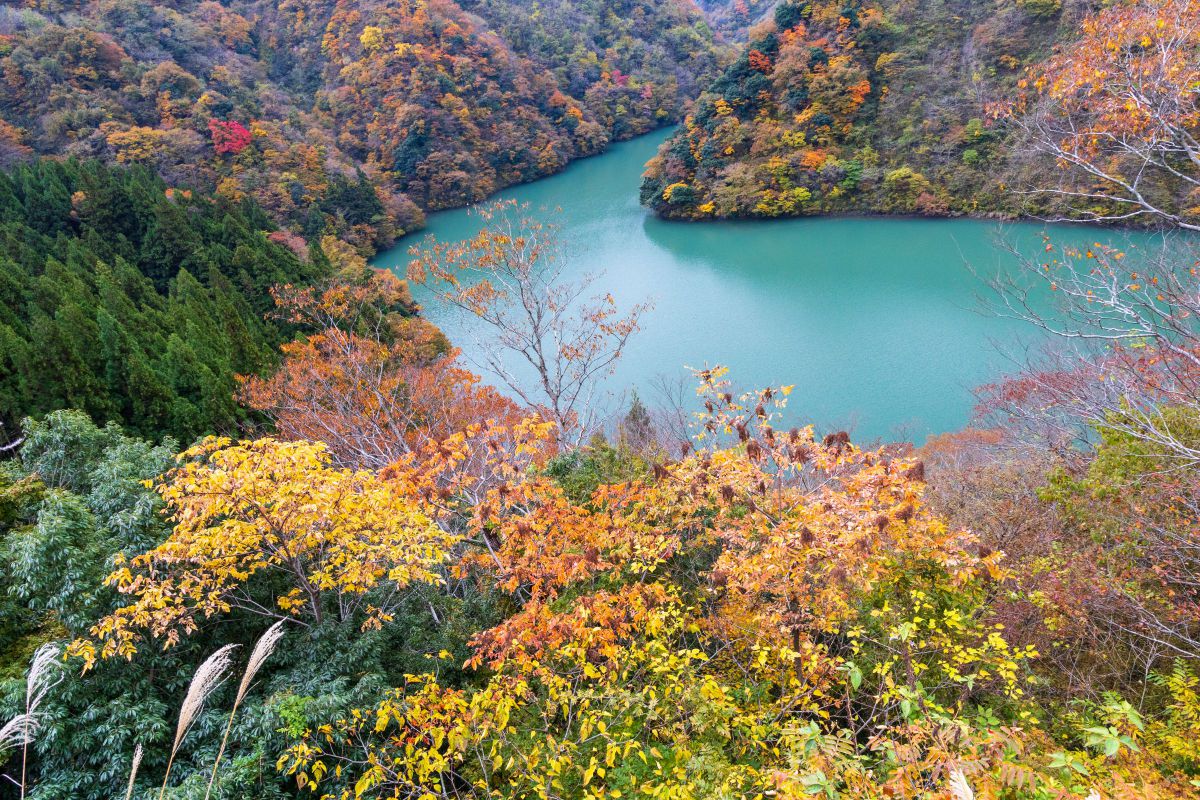 秋映えスポット | GANREF