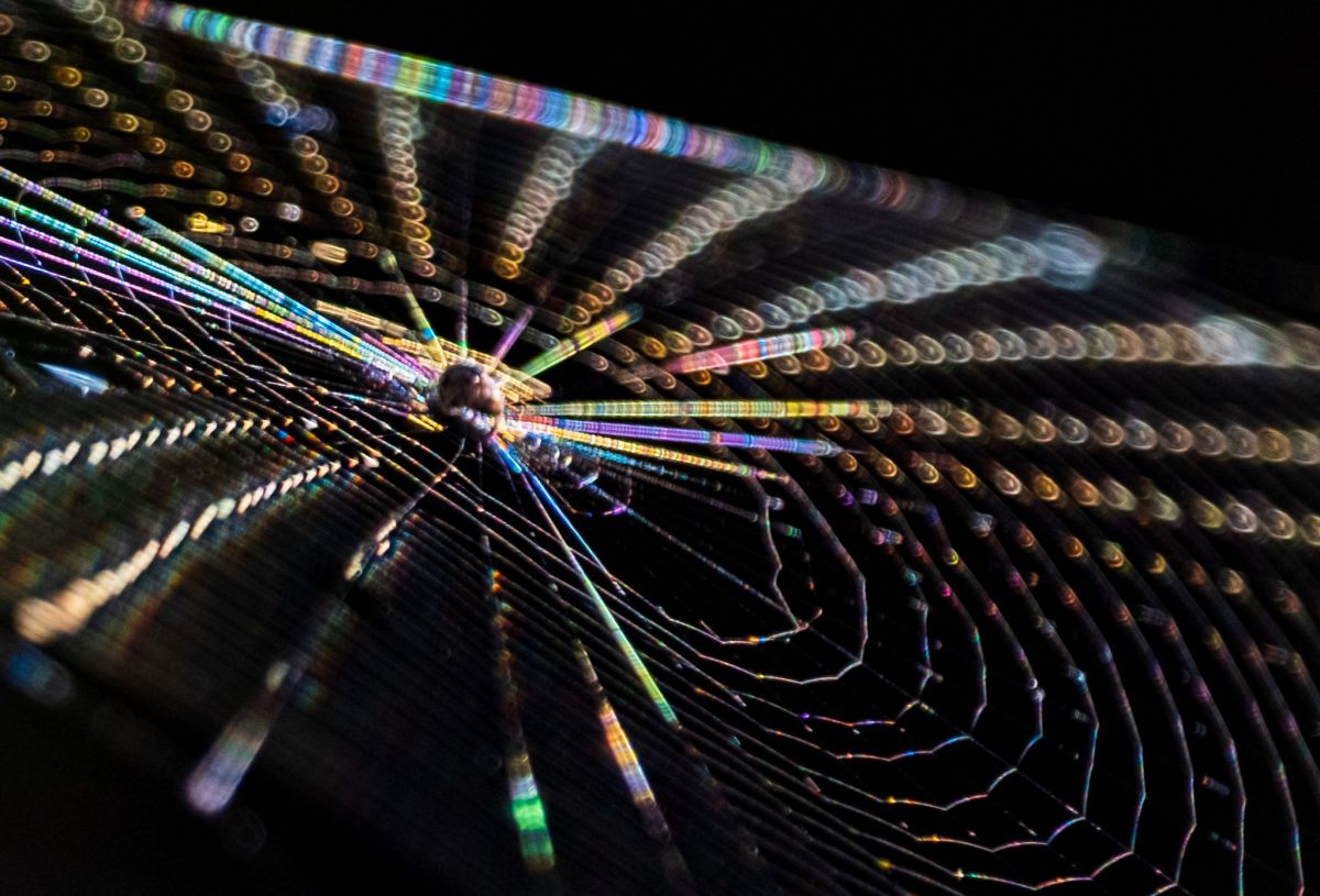 spider galaxy | GANREF