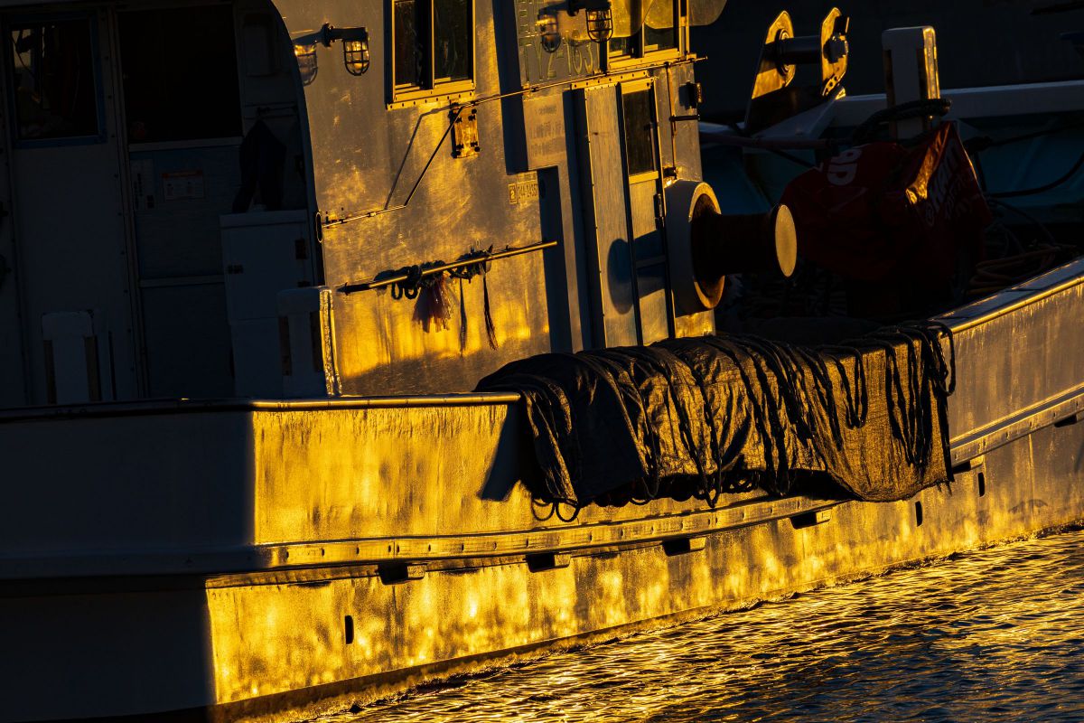 金箔の船 | GANREF