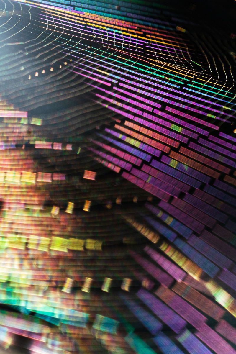 spider's silk | GANREF