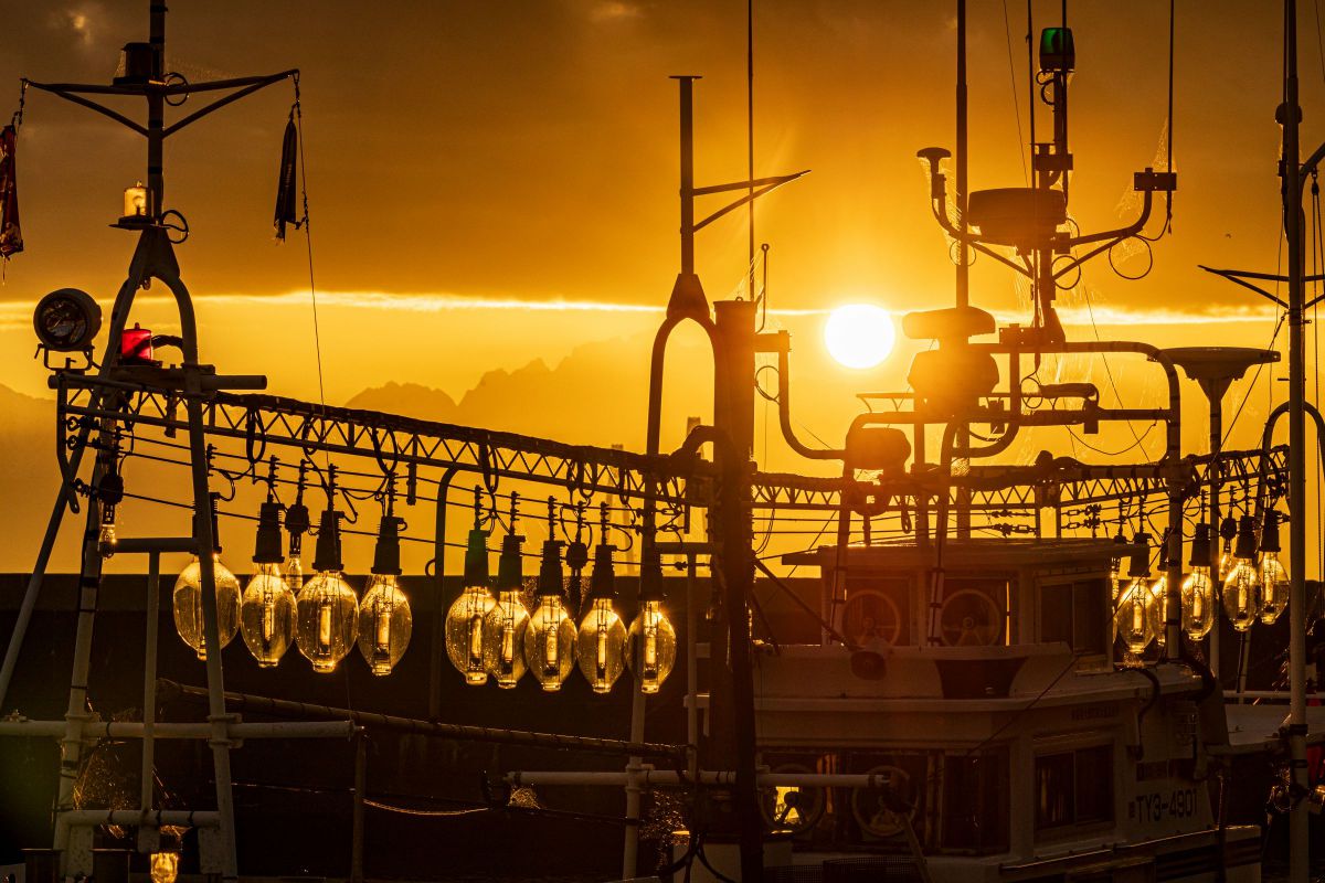 夜明けのランプ | GANREF