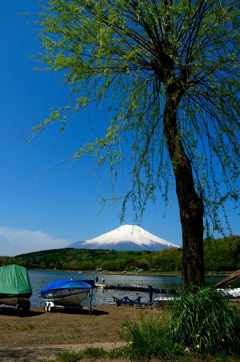 湖畔にて | GANREF