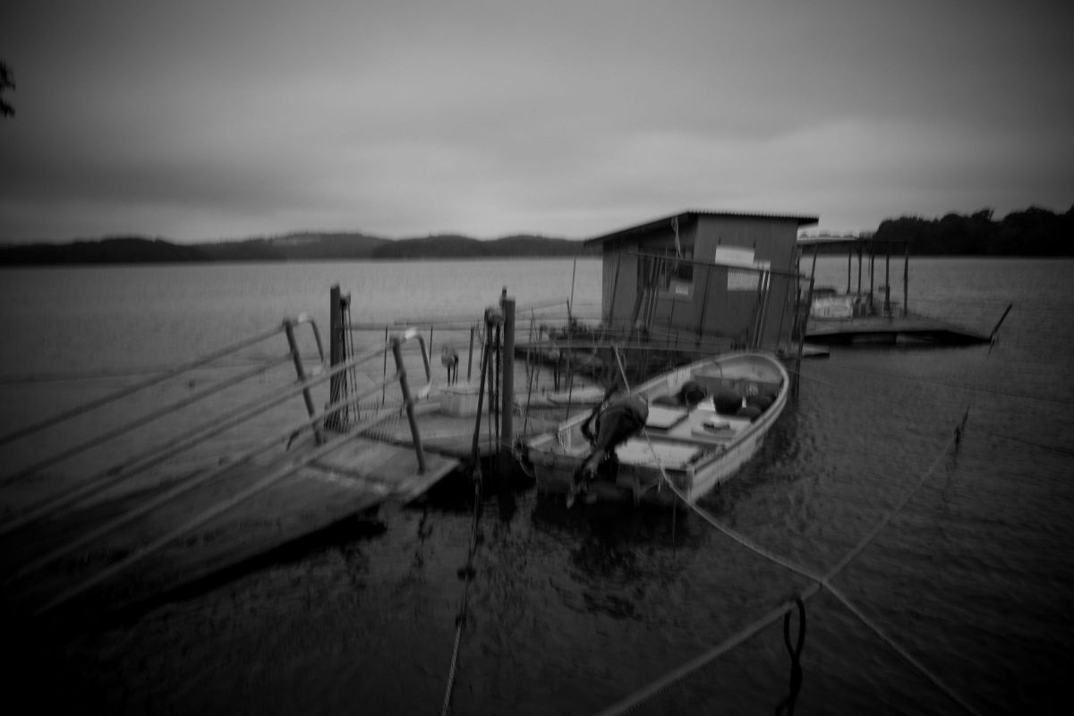 20200709-R0072223 | GANREF