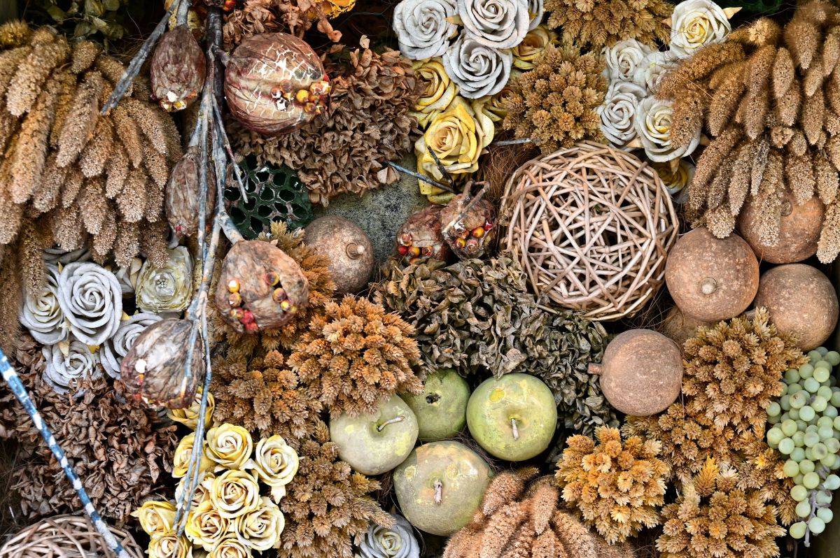 dehydrated fruit and vegetables | GANREF