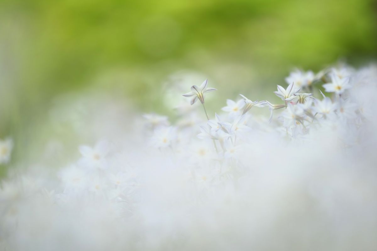 EOS M3レビュー：露出補正が液晶モニターに反映しない？ | GANREF