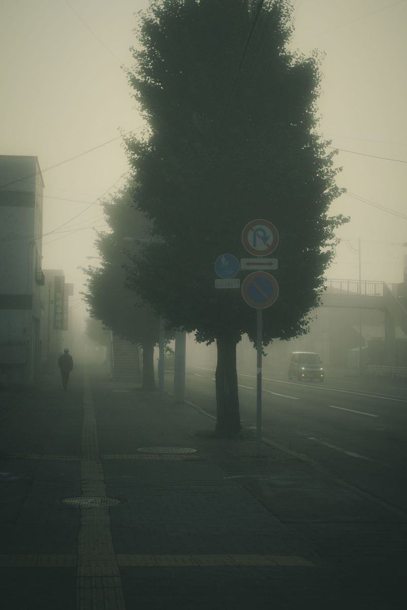 Common Places#011 | GANREF