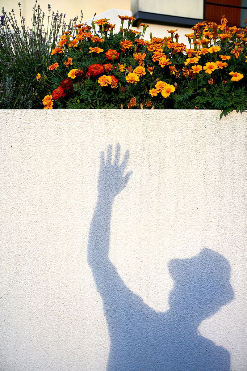 hello goodbye. | GANREF