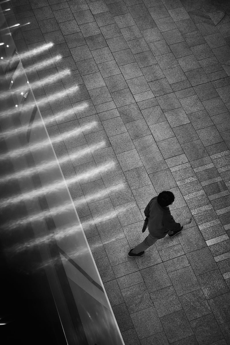 Stargate#05 | GANREF