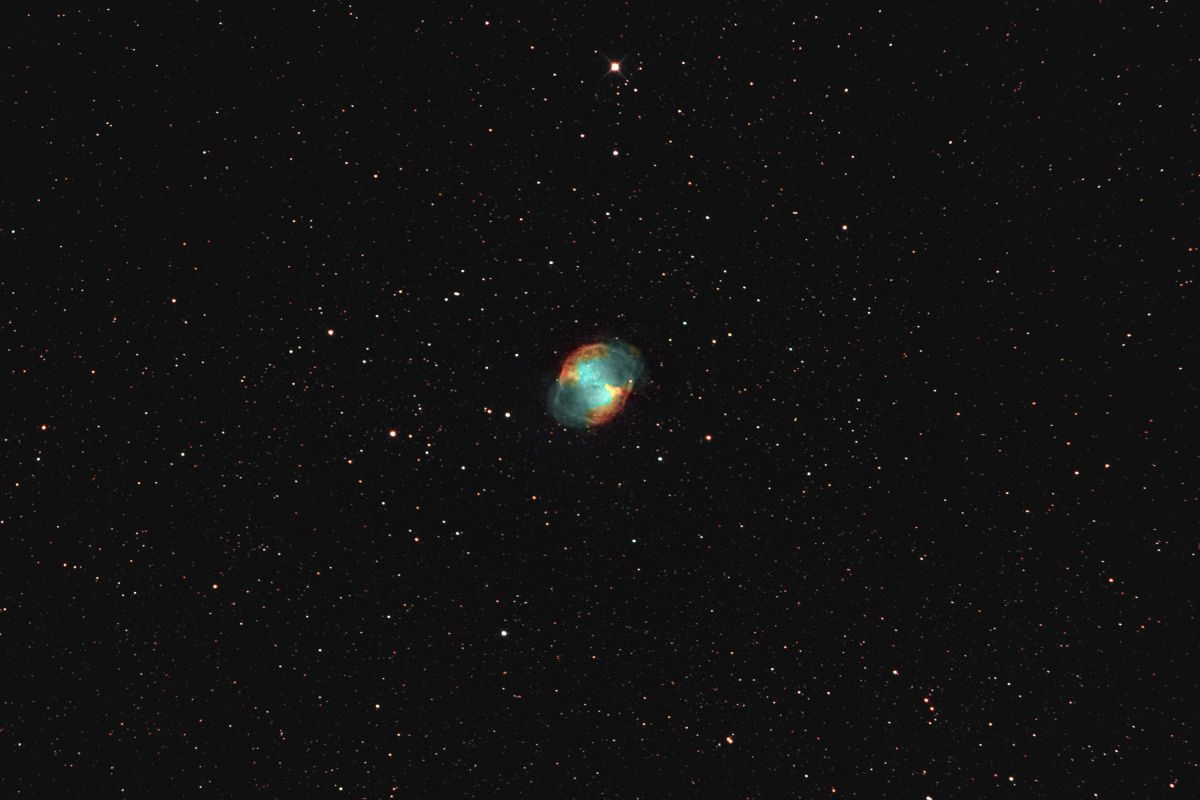 庭撮りM27 | GANREF