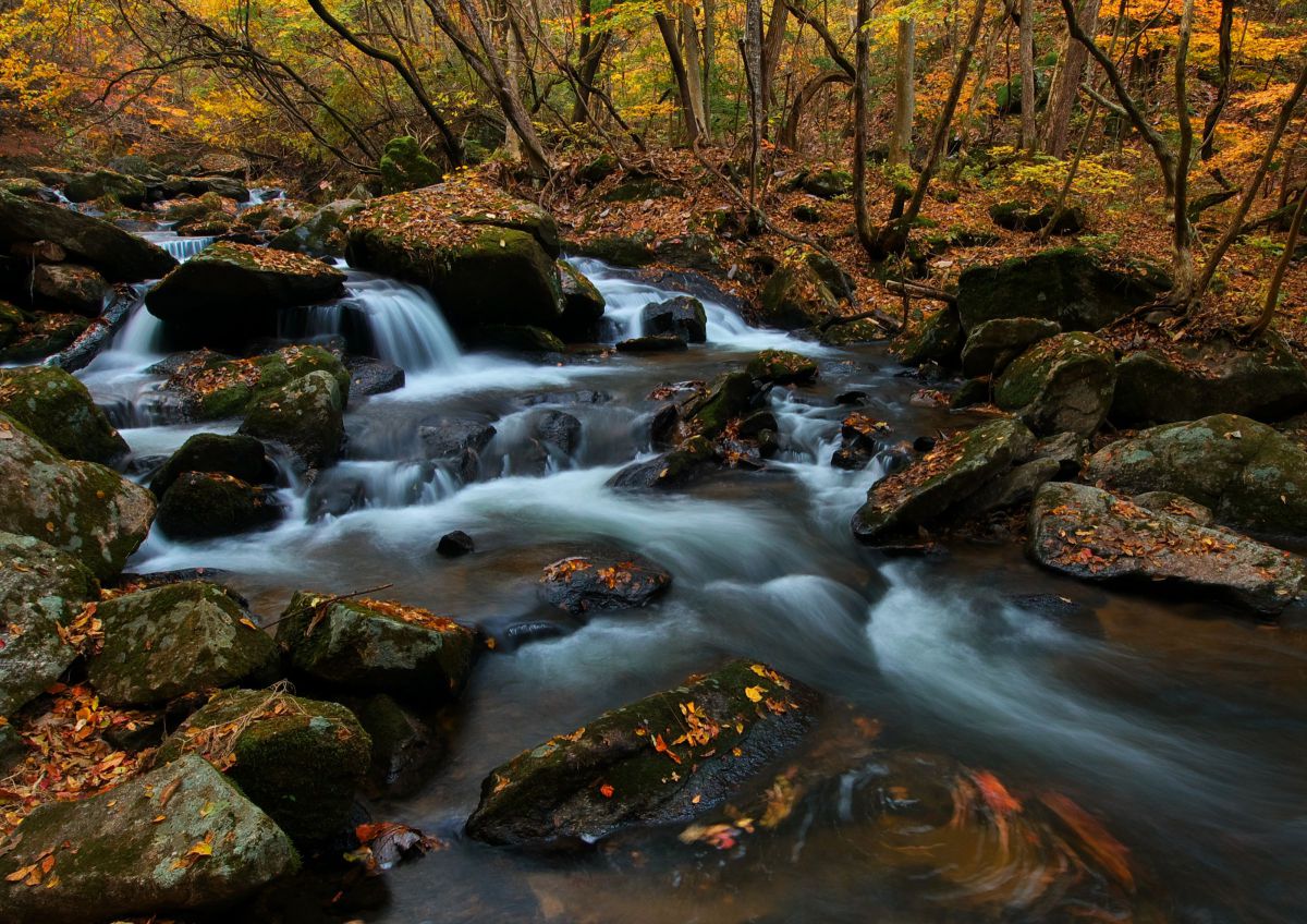 Autumn Place | GANREF