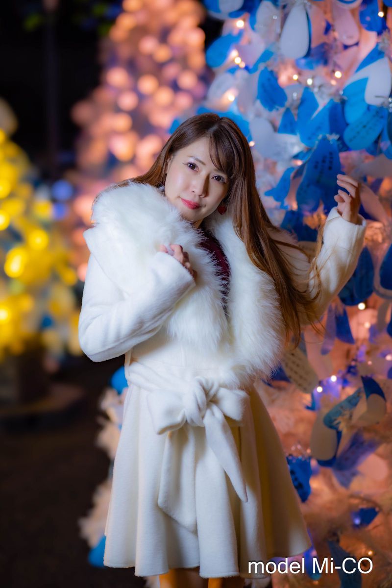 model Mi-CO | GANREF