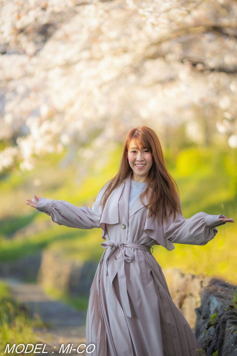 MODEL Mi-CO 2 | GANREF