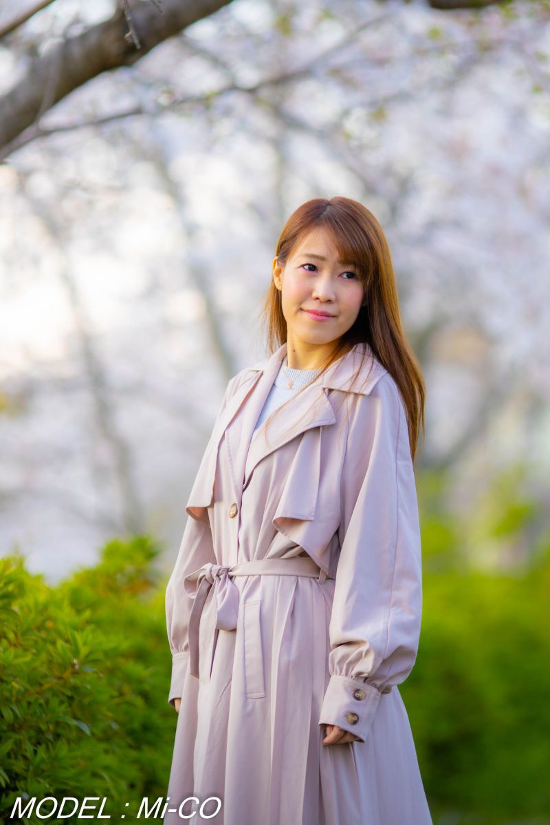 MODEL Mi-CO | GANREF