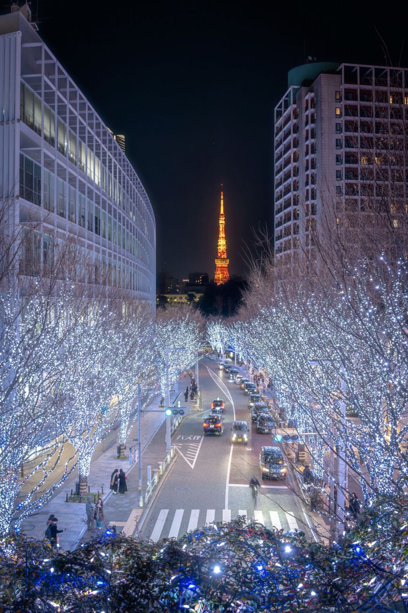 けやき坂 イルミネーション | GANREF