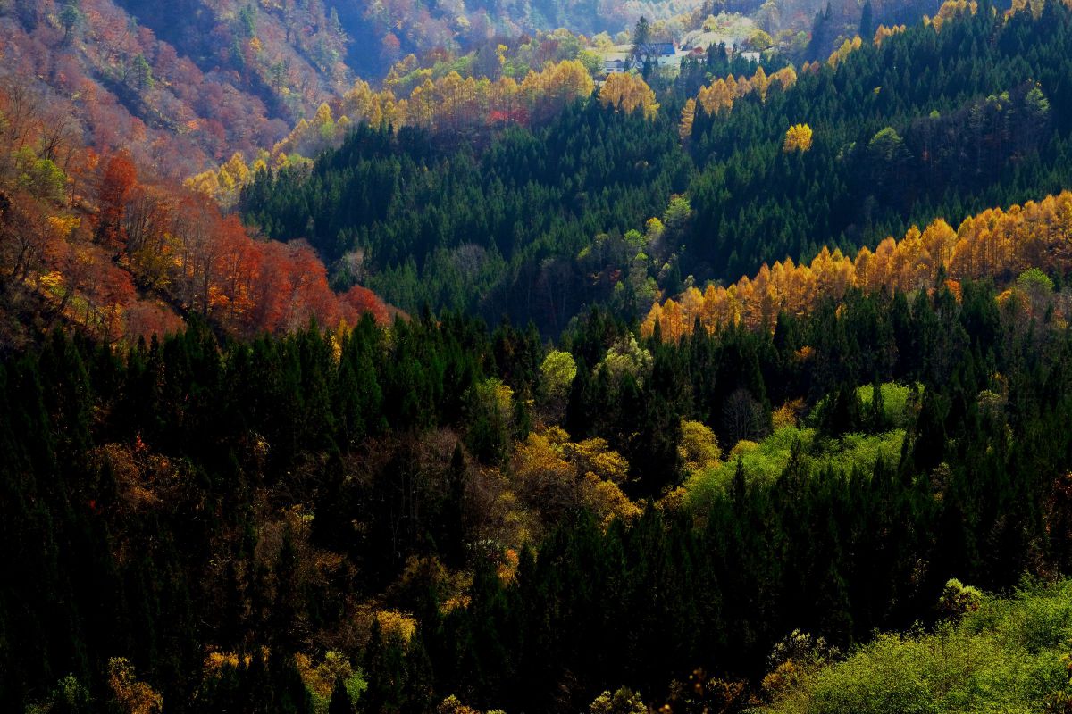 amazing view point | GANREF