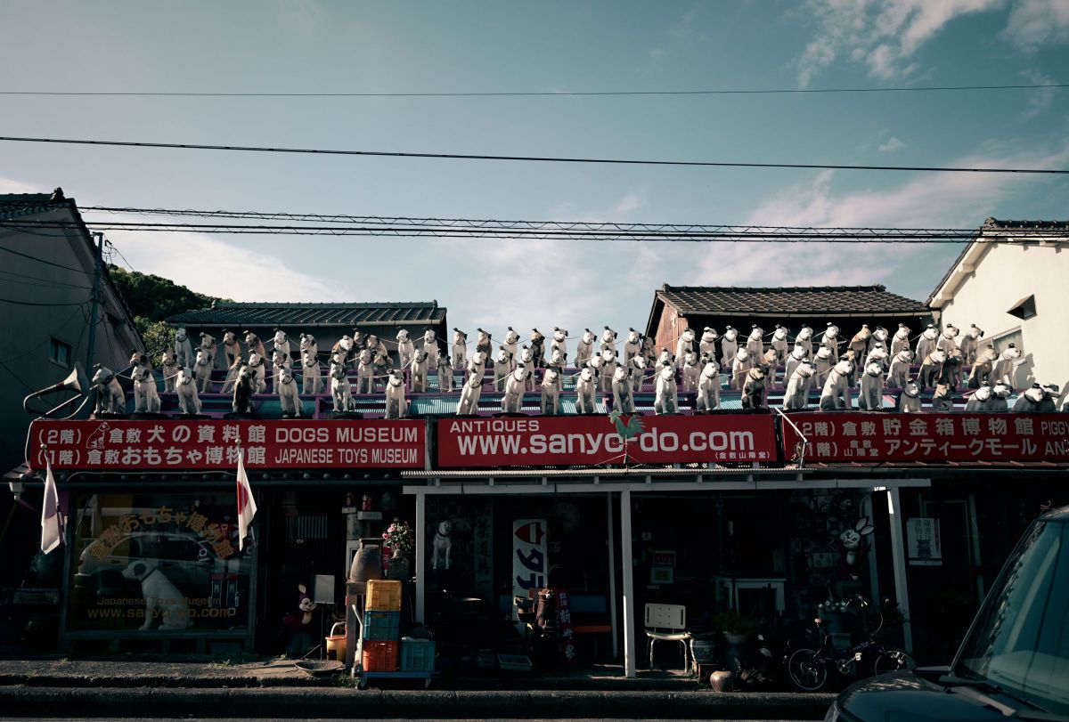 ニッパーs | GANREF