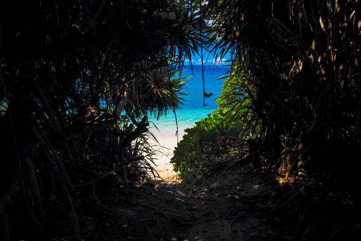 To No.1 Beach | GANREF