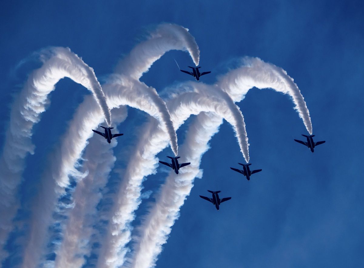 Phoenix Roll | GANREF