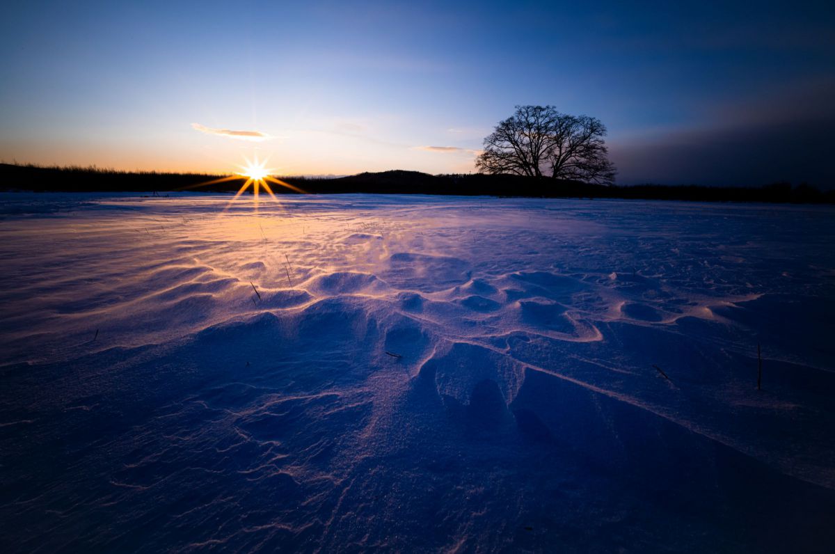 Snow Field | GANREF
