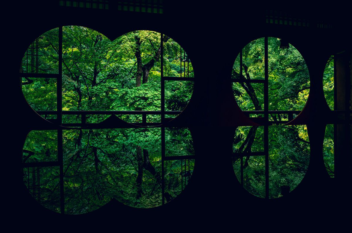 Fresh green Arashiyama | GANREF