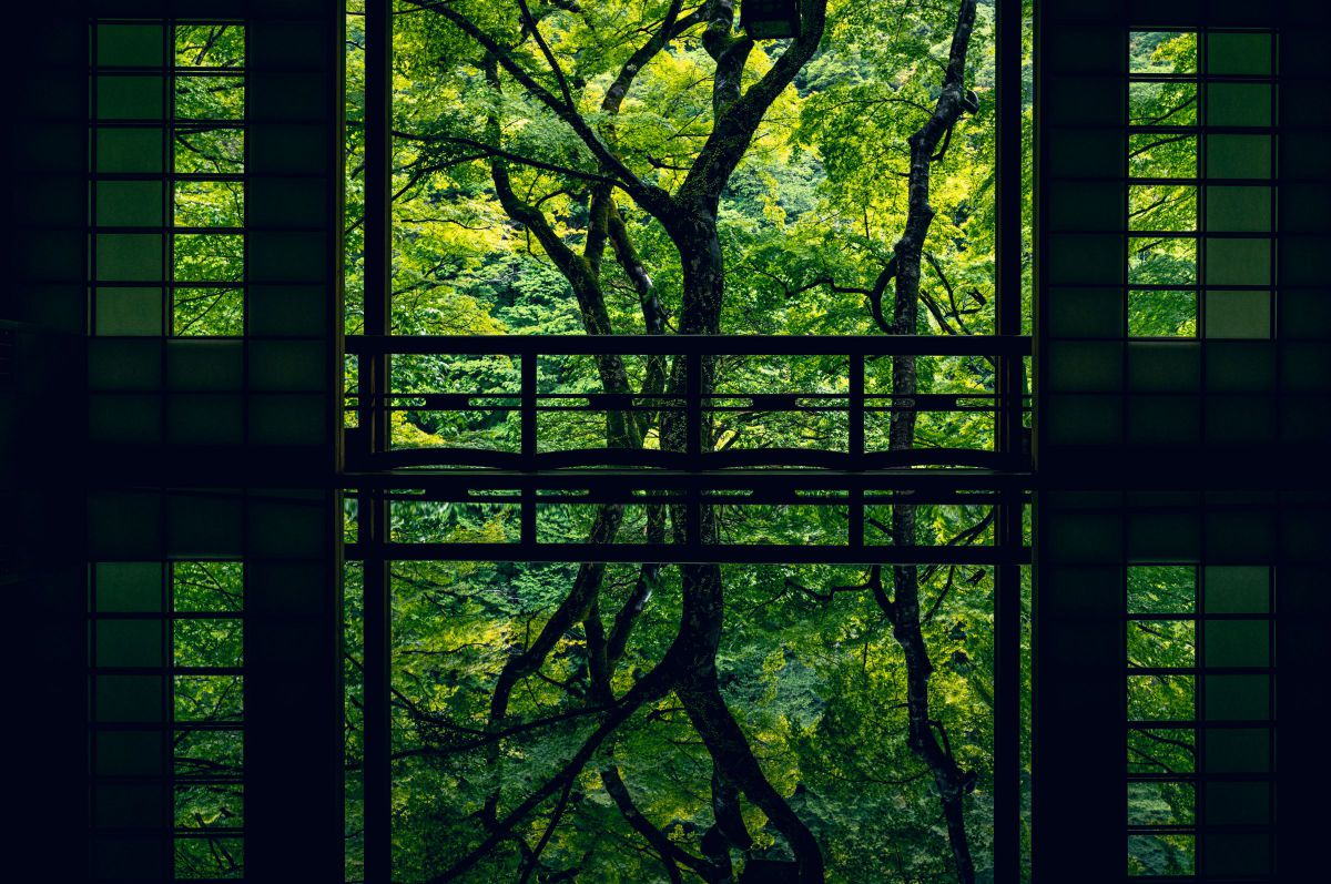 Arashiyama in May | GANREF