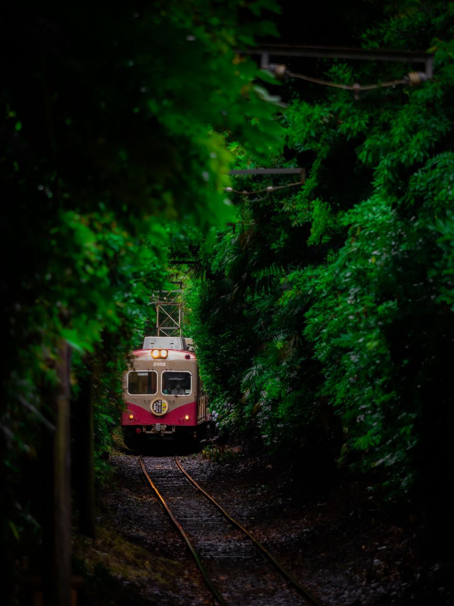 ローカル線 | GANREF