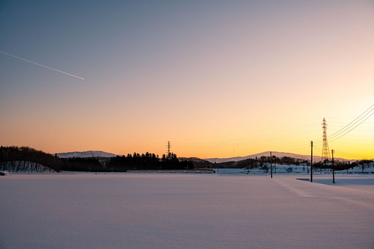 DSC_1301.jpg | GANREF