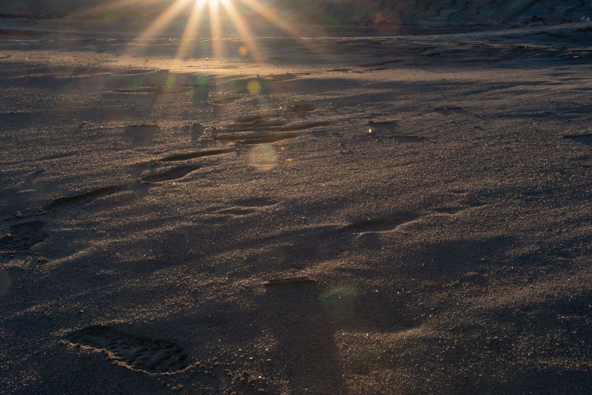 あしあと | GANREF