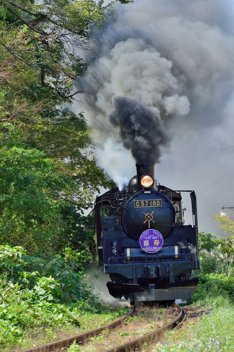 C57 180一年振り以上でした | GANREF