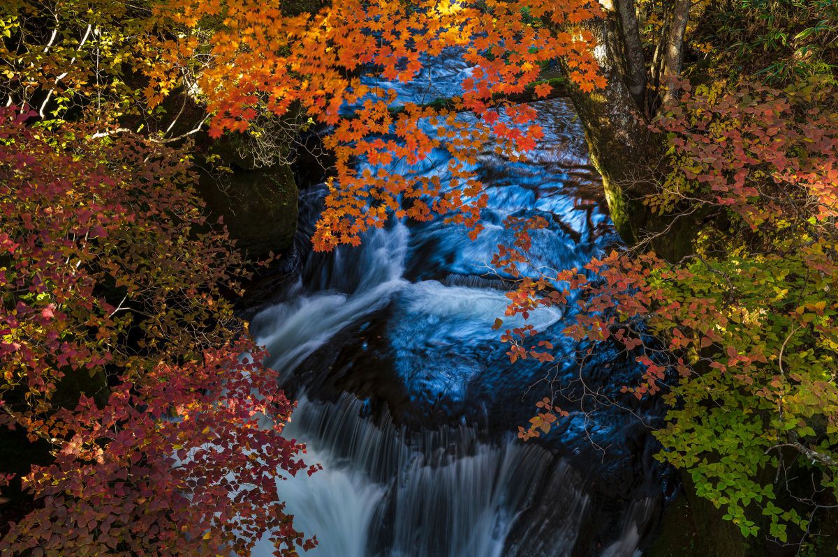 Autumn colors | GANREF