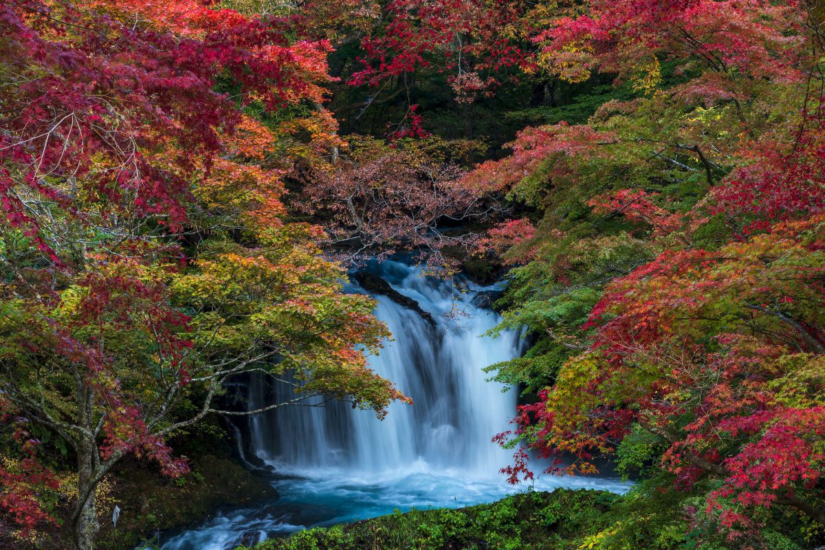 Autumn color＆waterfall | GANREF