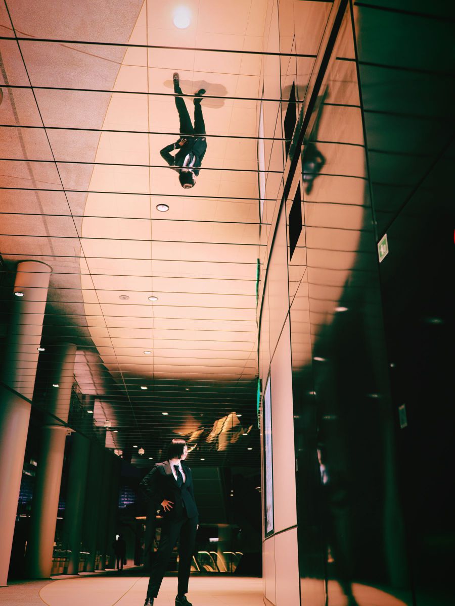 Reflection. | GANREF