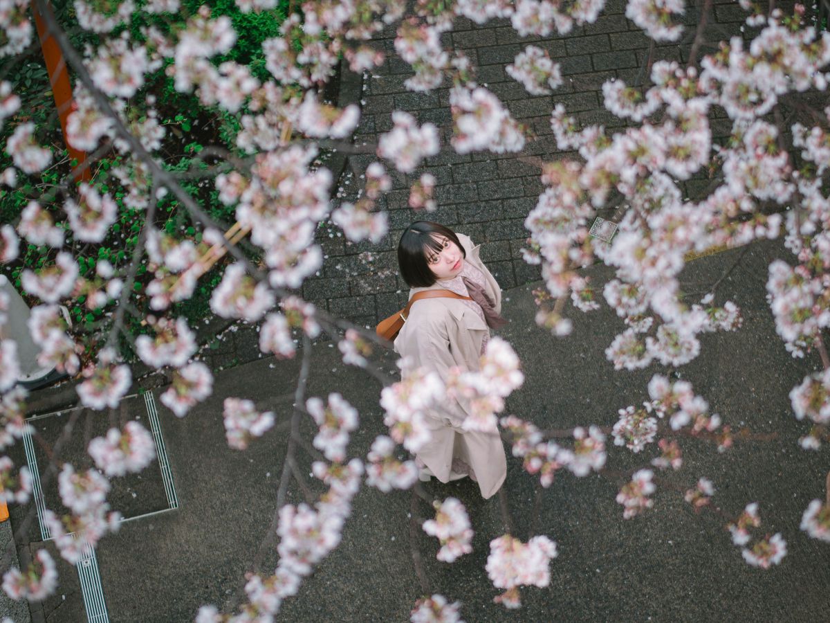 君を見つけた、視線を合わせた。 | GANREF