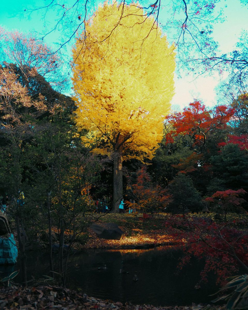 golden tree. | GANREF