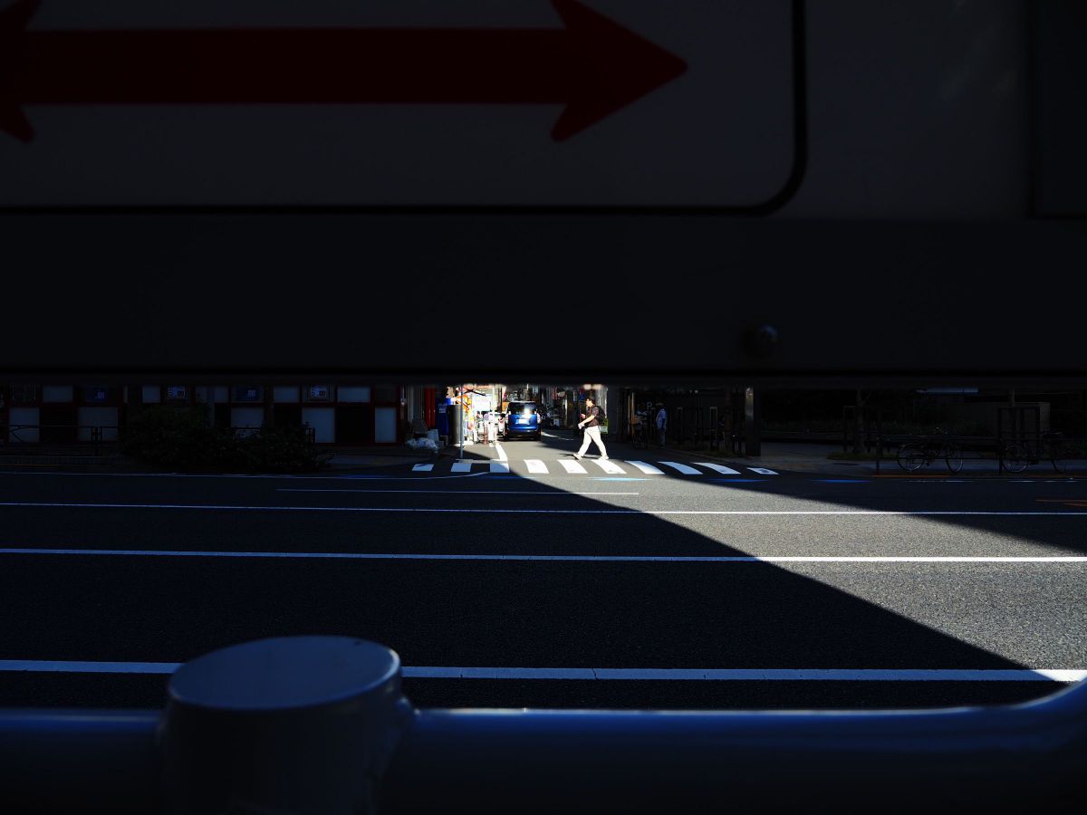 shadow and light. | GANREF