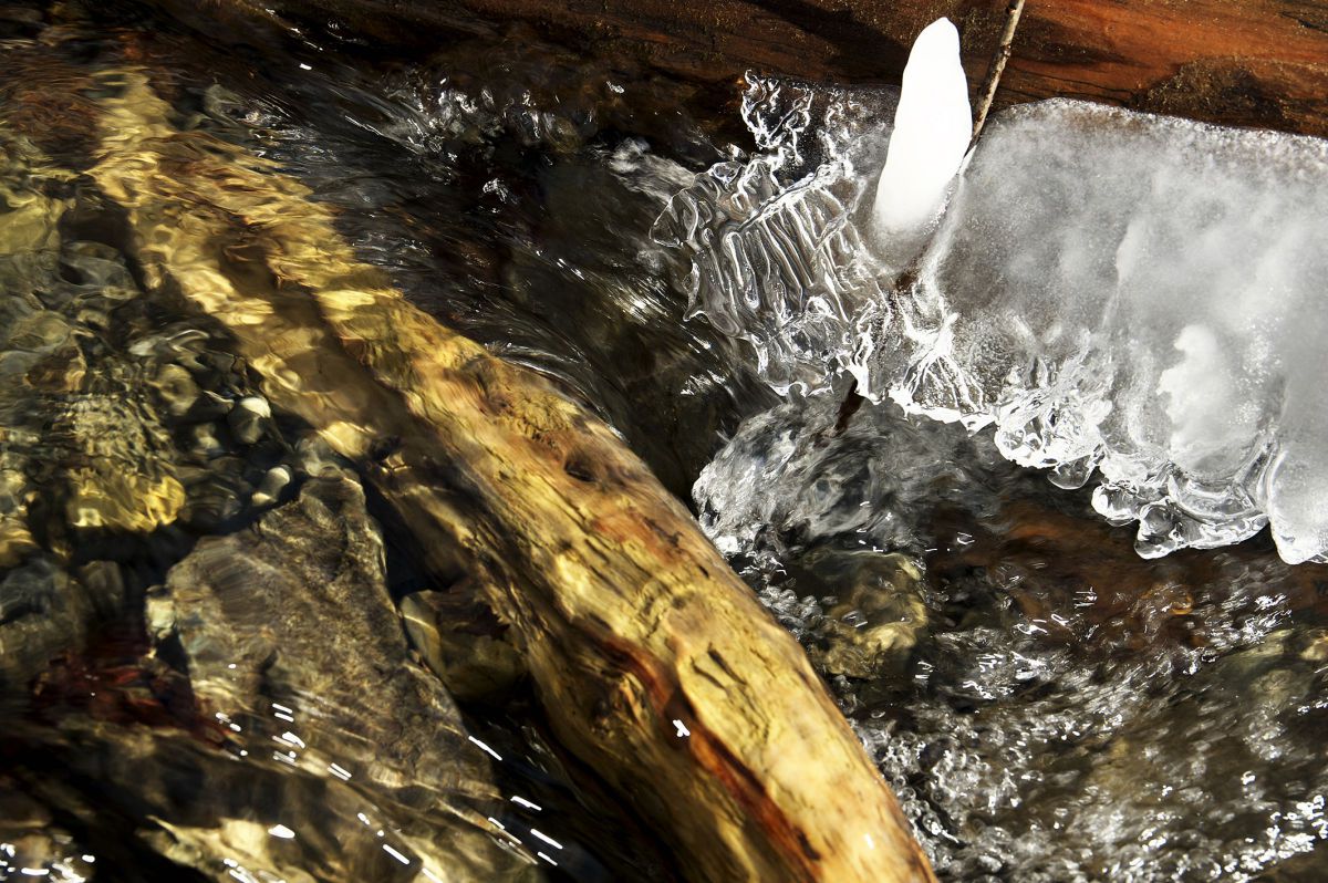 river ice 2 | GANREF