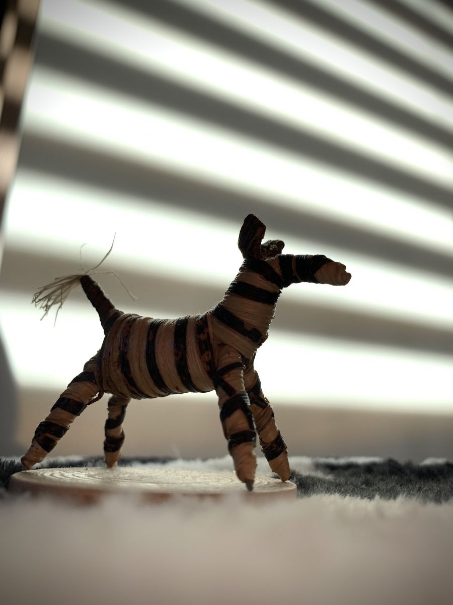 zebra | GANREF