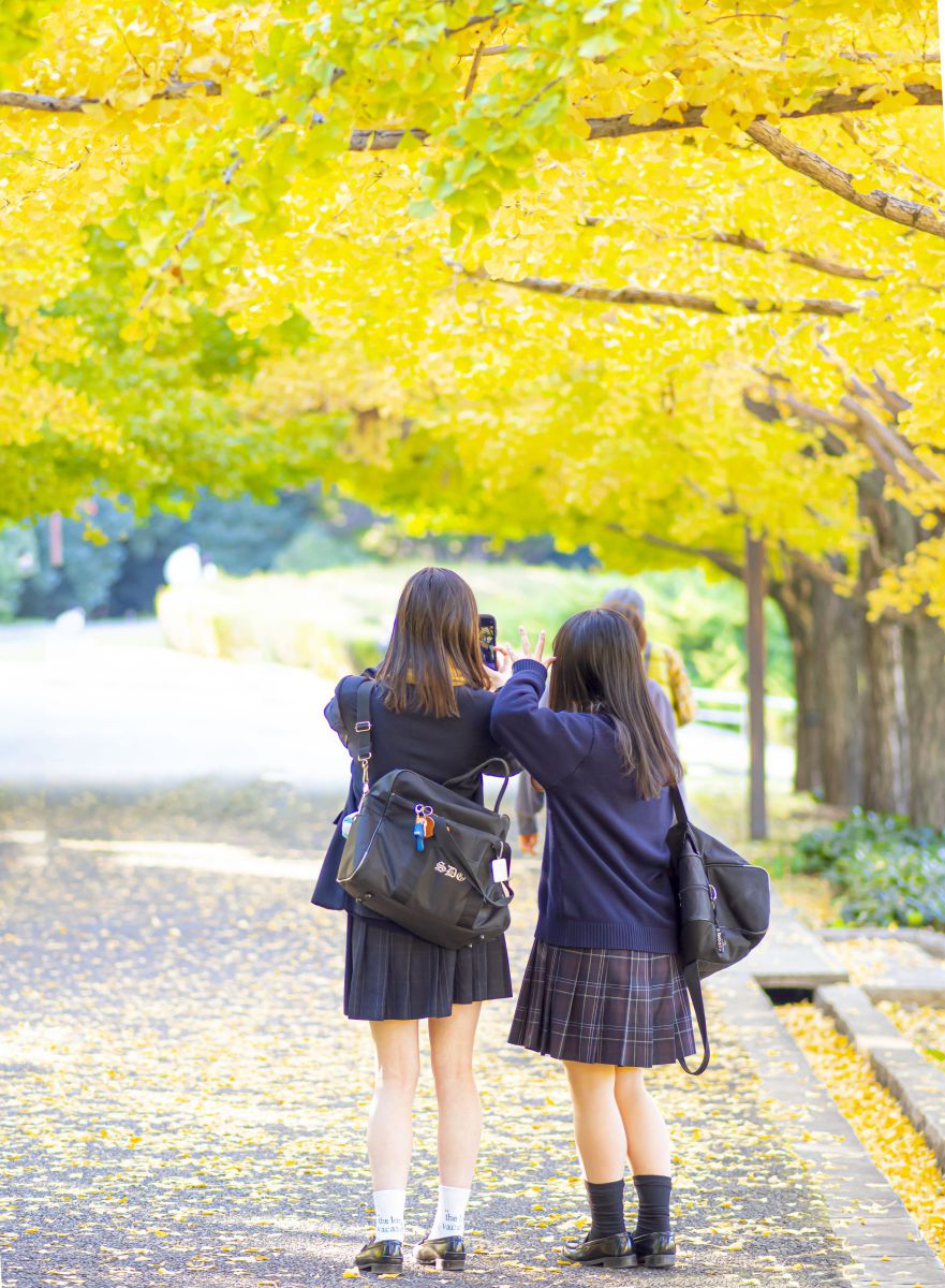 after school | GANREF