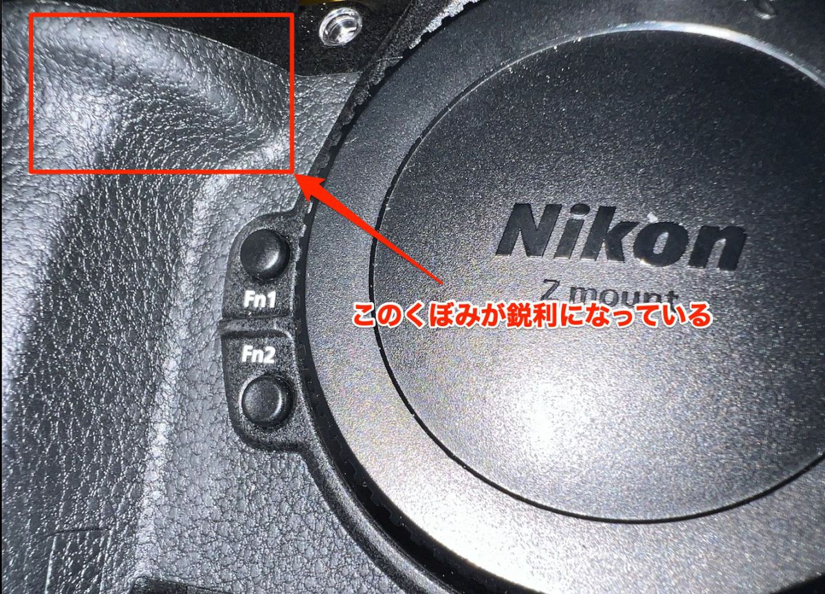 [ニコン Z8&超望遠レンズ]第8回 Z 8 と超望遠レンズの組み合わせでの物理的痛い点 | GANREF