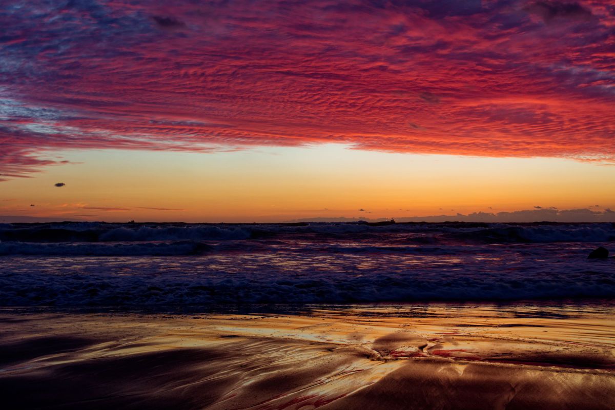 The Magenta Dawn | GANREF