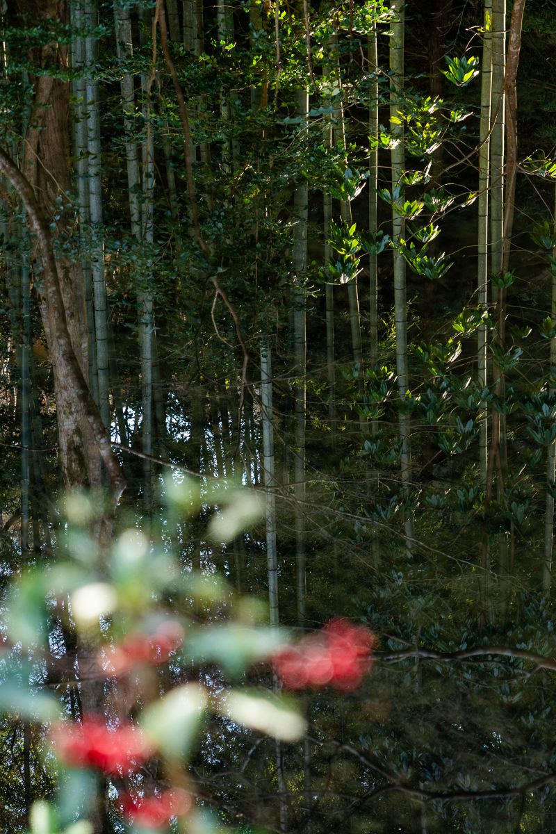 鏡池／Mirror pond | GANREF